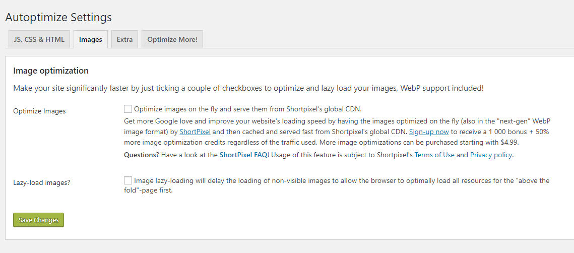 Best Autoptimize Configuration Settings 2022 - FlashLearners