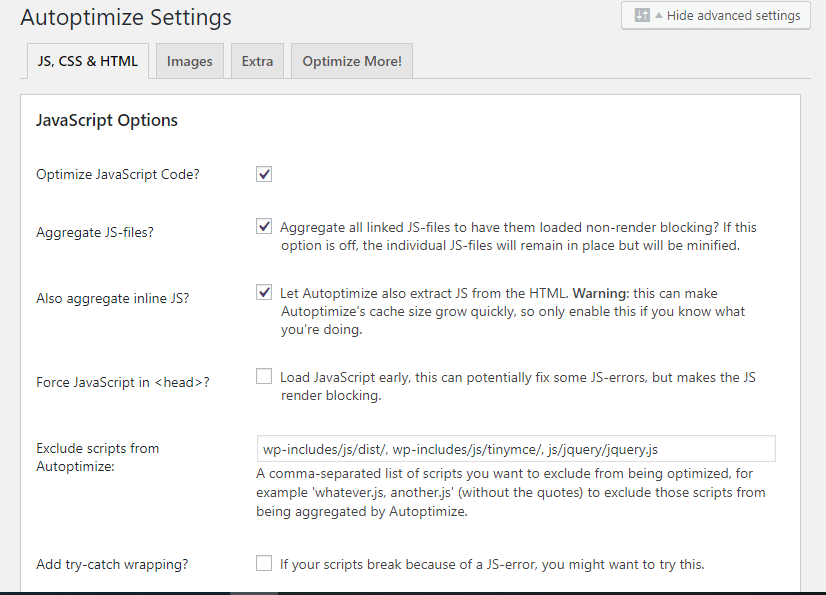 Best Autoptimize Configuration Settings 2022 - FlashLearners