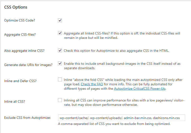 Best Autoptimize Configuration Settings 2022 - FlashLearners