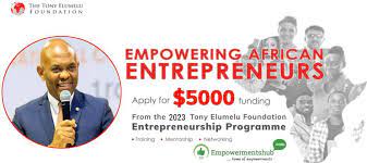 Apply For Tony Elumelu Foundation (TEF) Entrepreneurship Program - FlashLearners