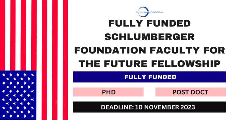 Schlumberger Foundation Faculty For The Future Fellowship 2026 ...