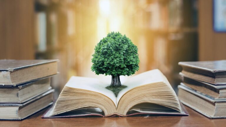 Understanding The Distinctions Between Wisdom And Knowledge - FlashLearners